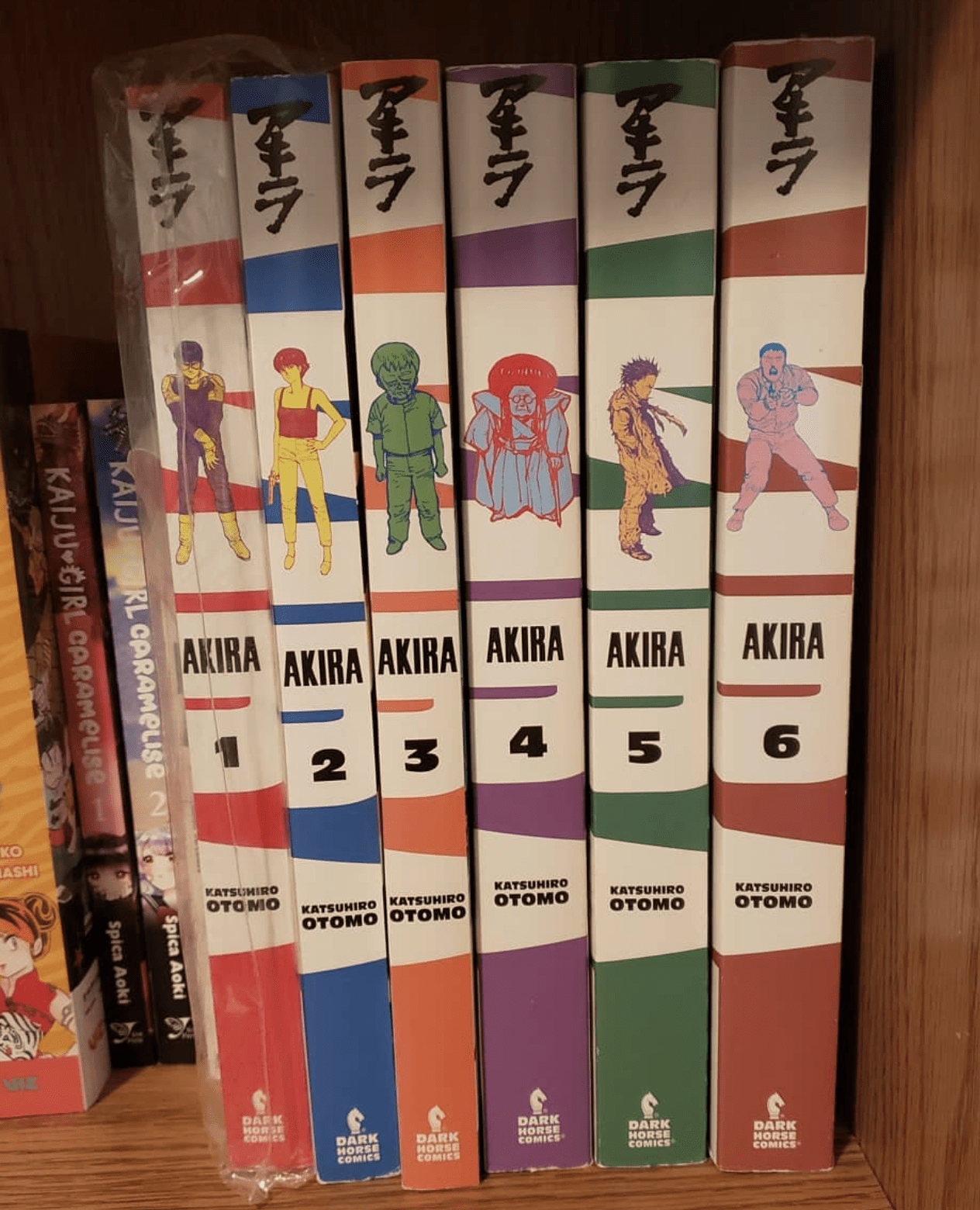 Akira - Essential Manga Review and Summary - Amanja Reads Too Much